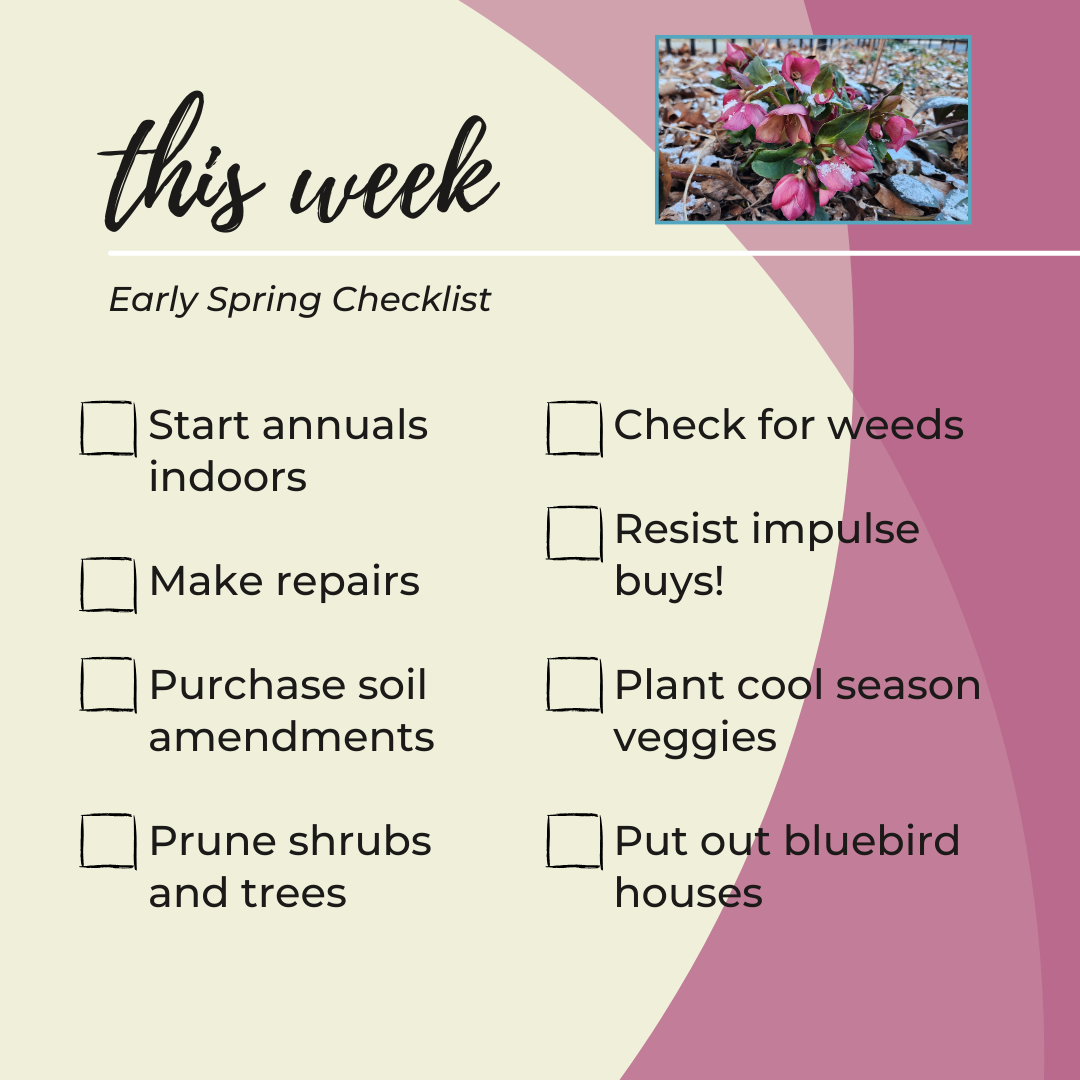Gardening with Gardner: Early Spring Checklist - Saratoga Associates