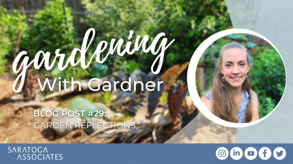Gardening with Gardner: Garden Reflections - Saratoga Associates